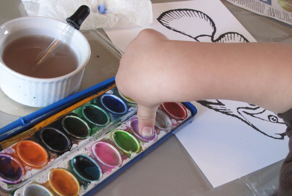 Creating Chaos: Where are the oceans & Fingerprint Fish