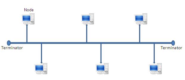 សិក្សាអំពី Bus Topology ~ Cisco Network