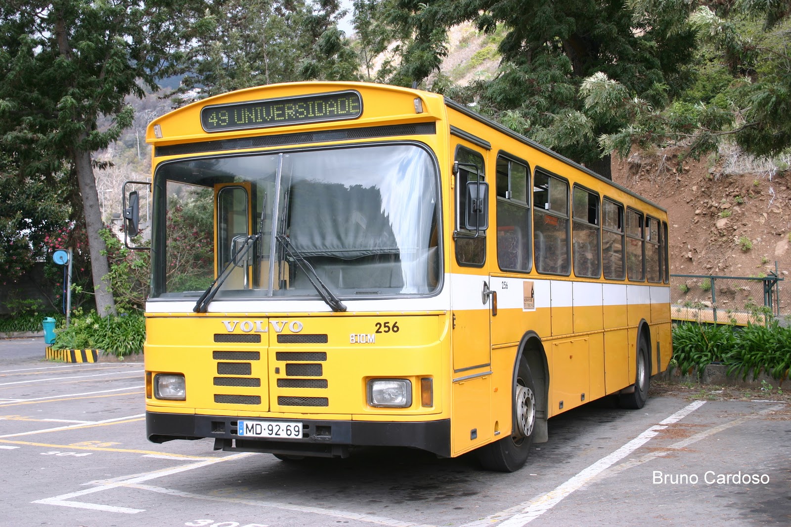 Buses from various cities in the world.: Visita a Horarios do Funchal