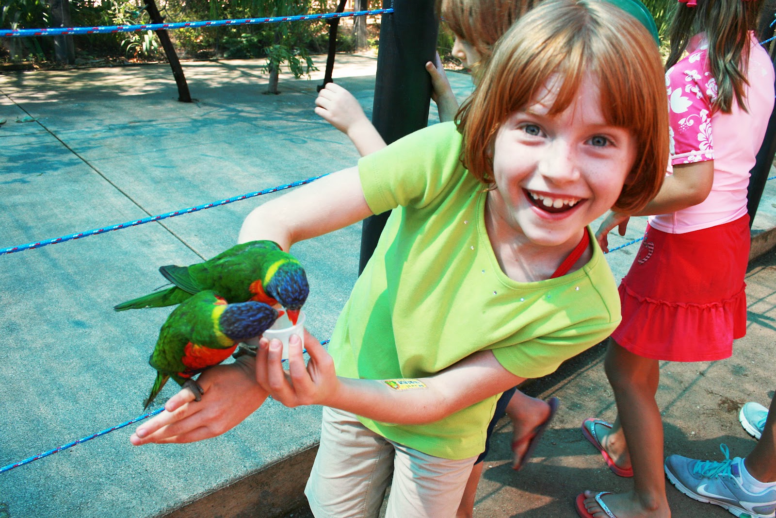 carrot top x 3: six flag adventure