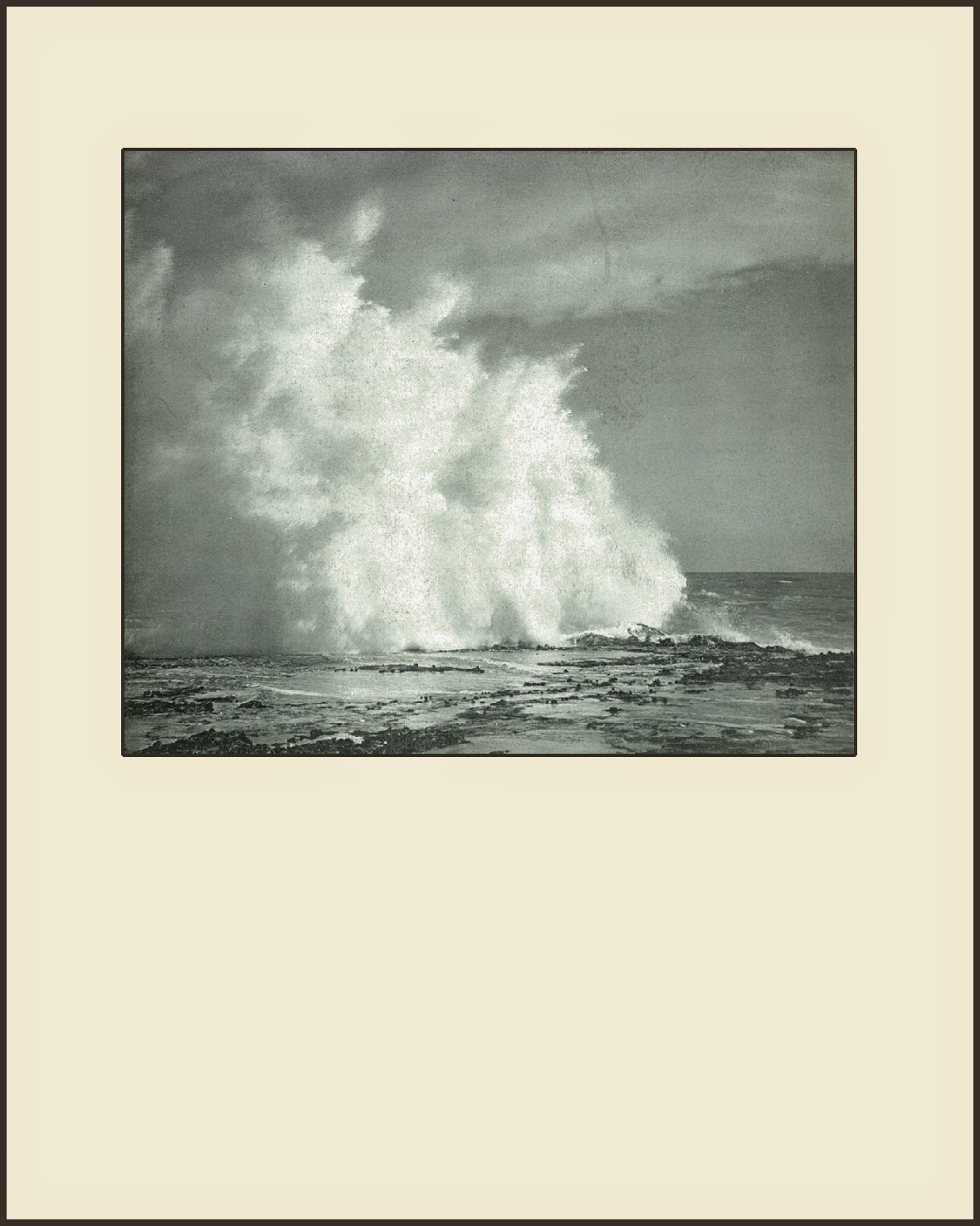 solitary dog sculptor: 04/05/15