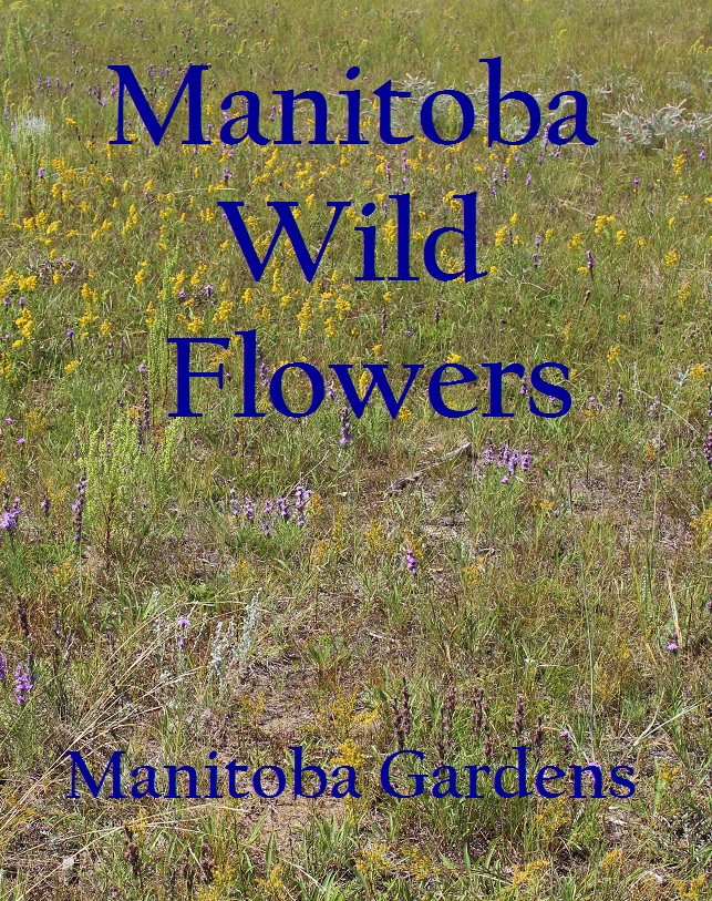 Living Our Lives Well: Manitoba Wild Flowers