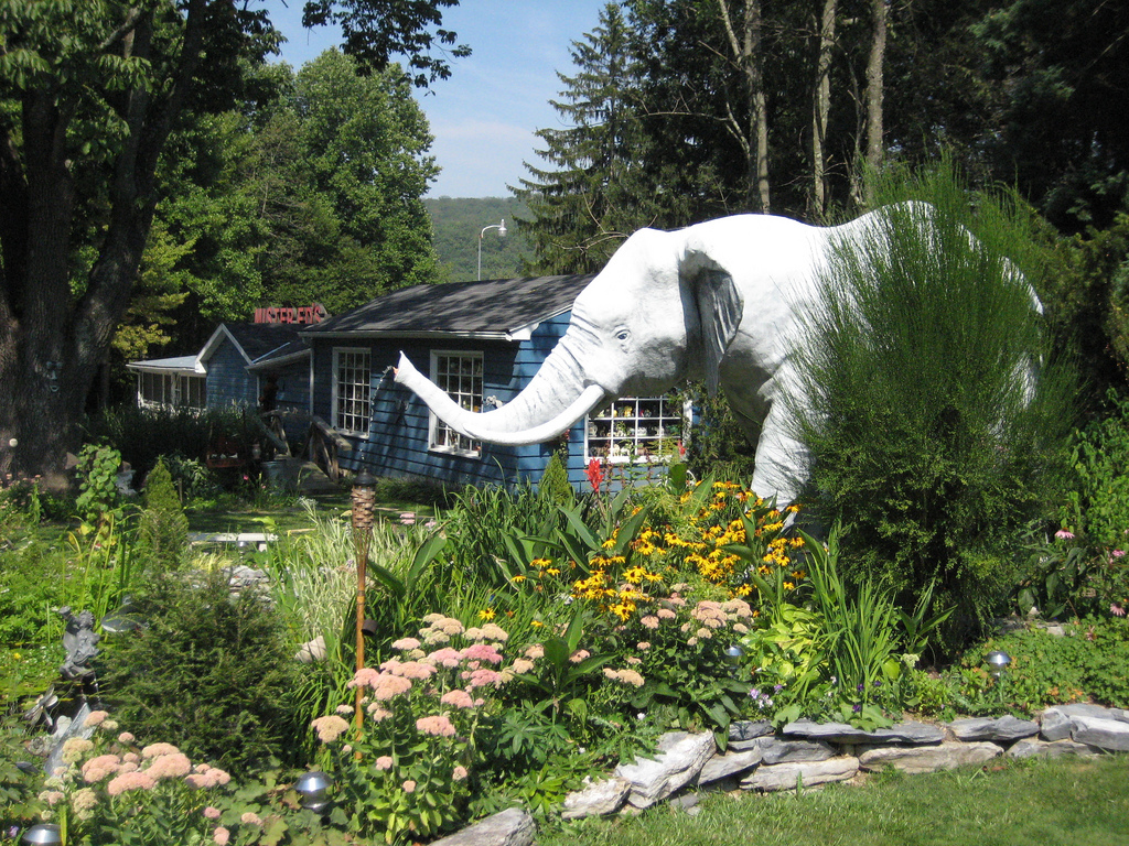 The Circus "NO SPIN ZONE": Mr. Ed's Elephant Museum