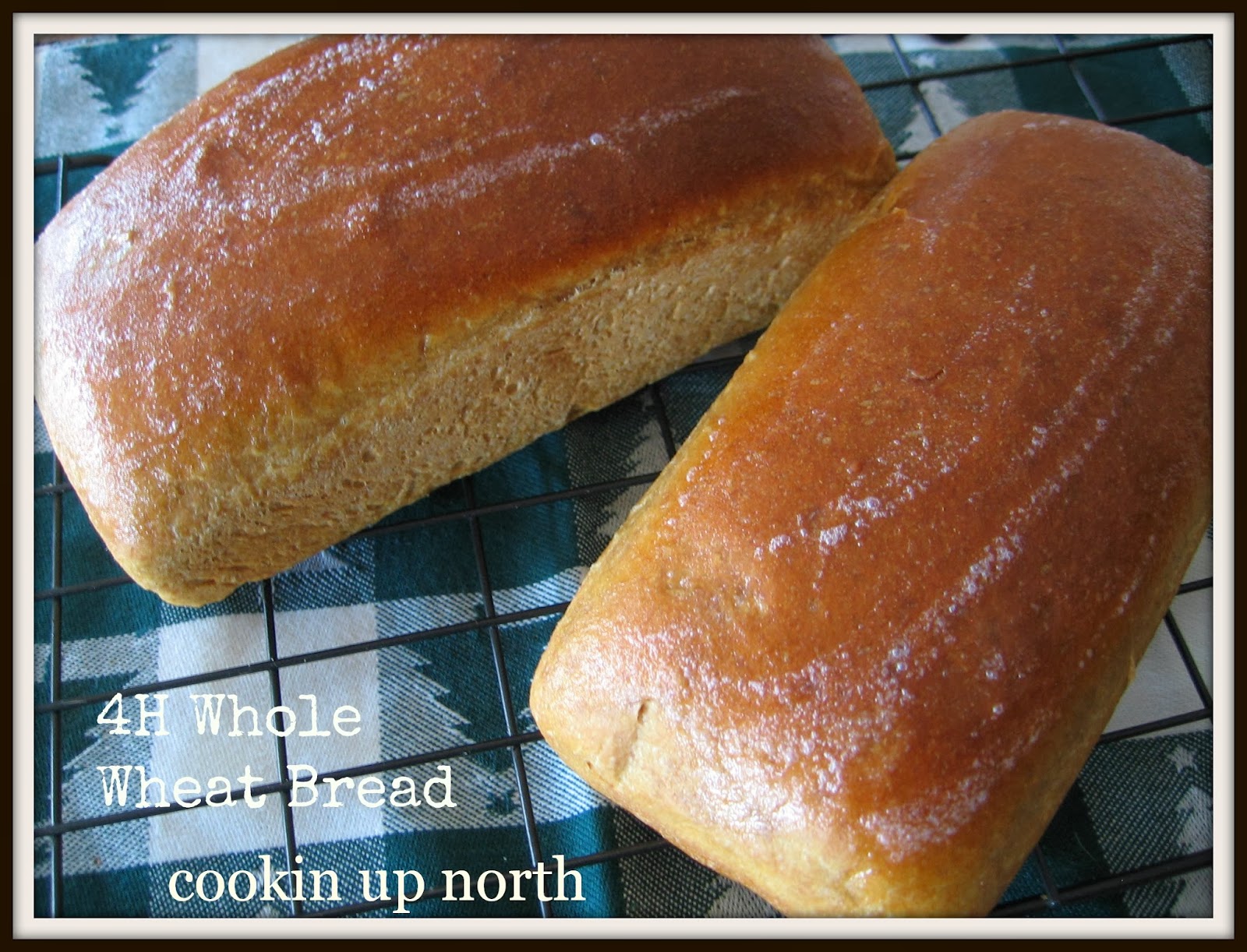 cookin' up north: Old Time 4H Whole Wheat Bread...Monday's with Mom