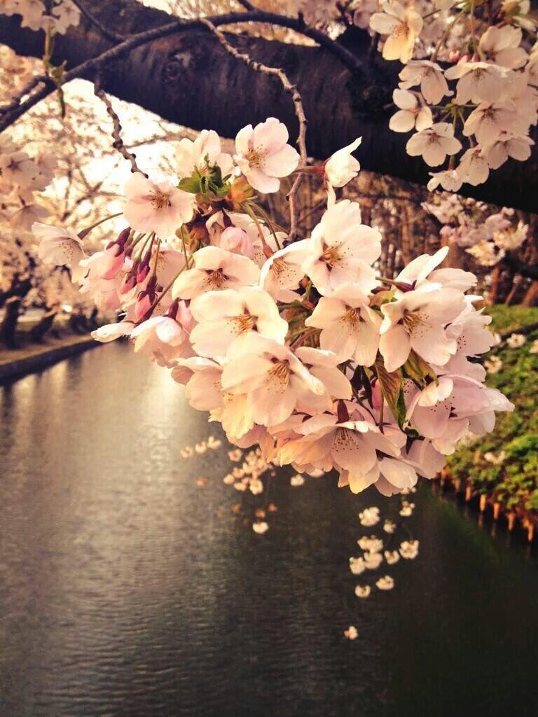IIIB English Class Blog About My Favorite Season IIIB English Class Blog About My Favorite Season