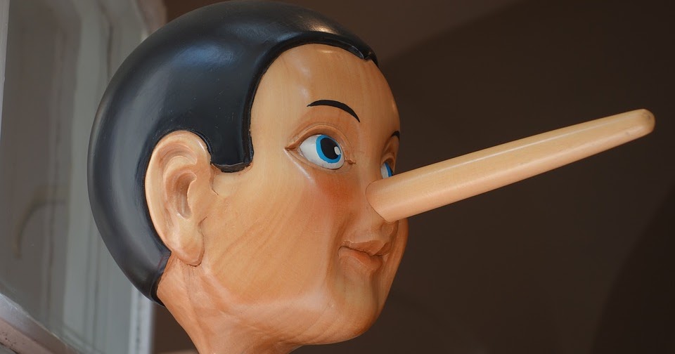 Heel Veel Weetjes: 10 weetjes over neuzen