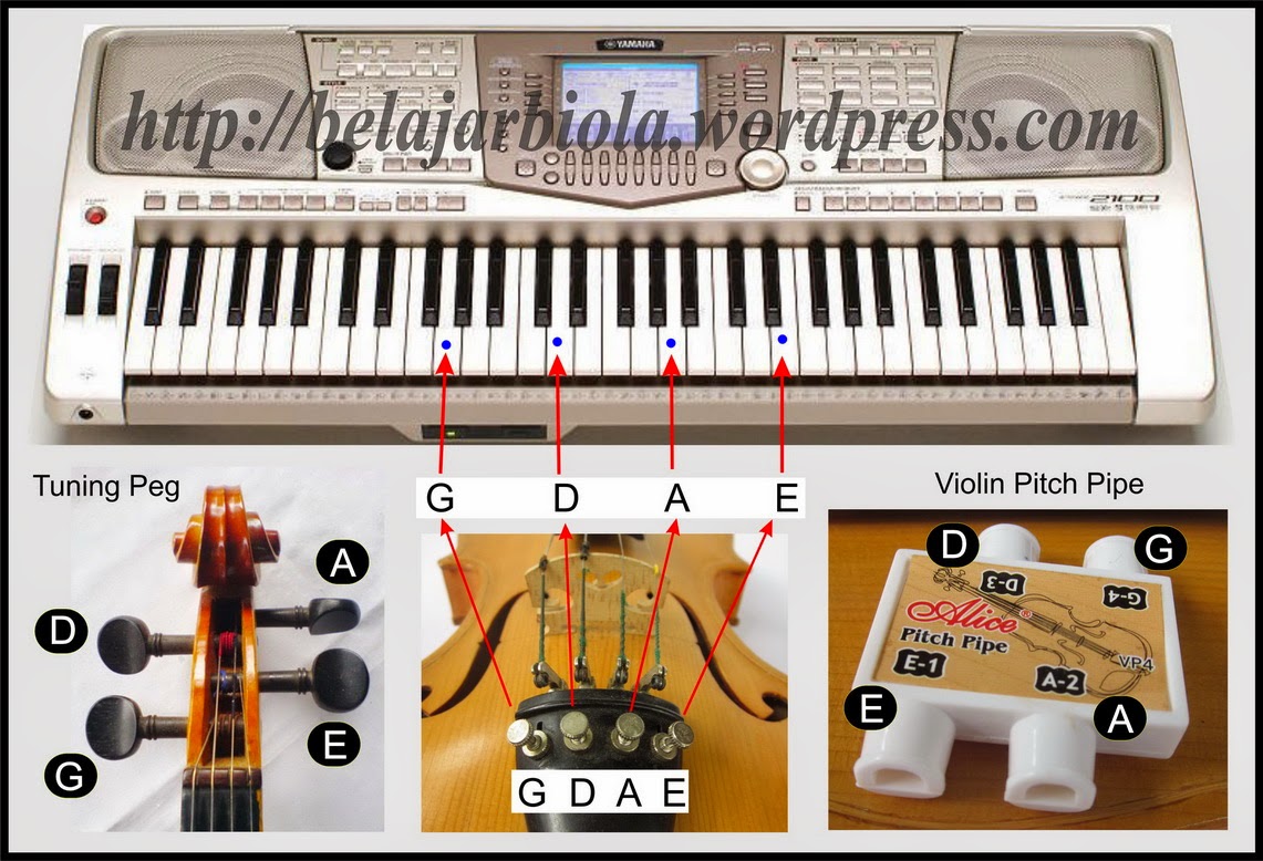 Biola Indonesia: CARA MEMASANG SENAR DAN STEM