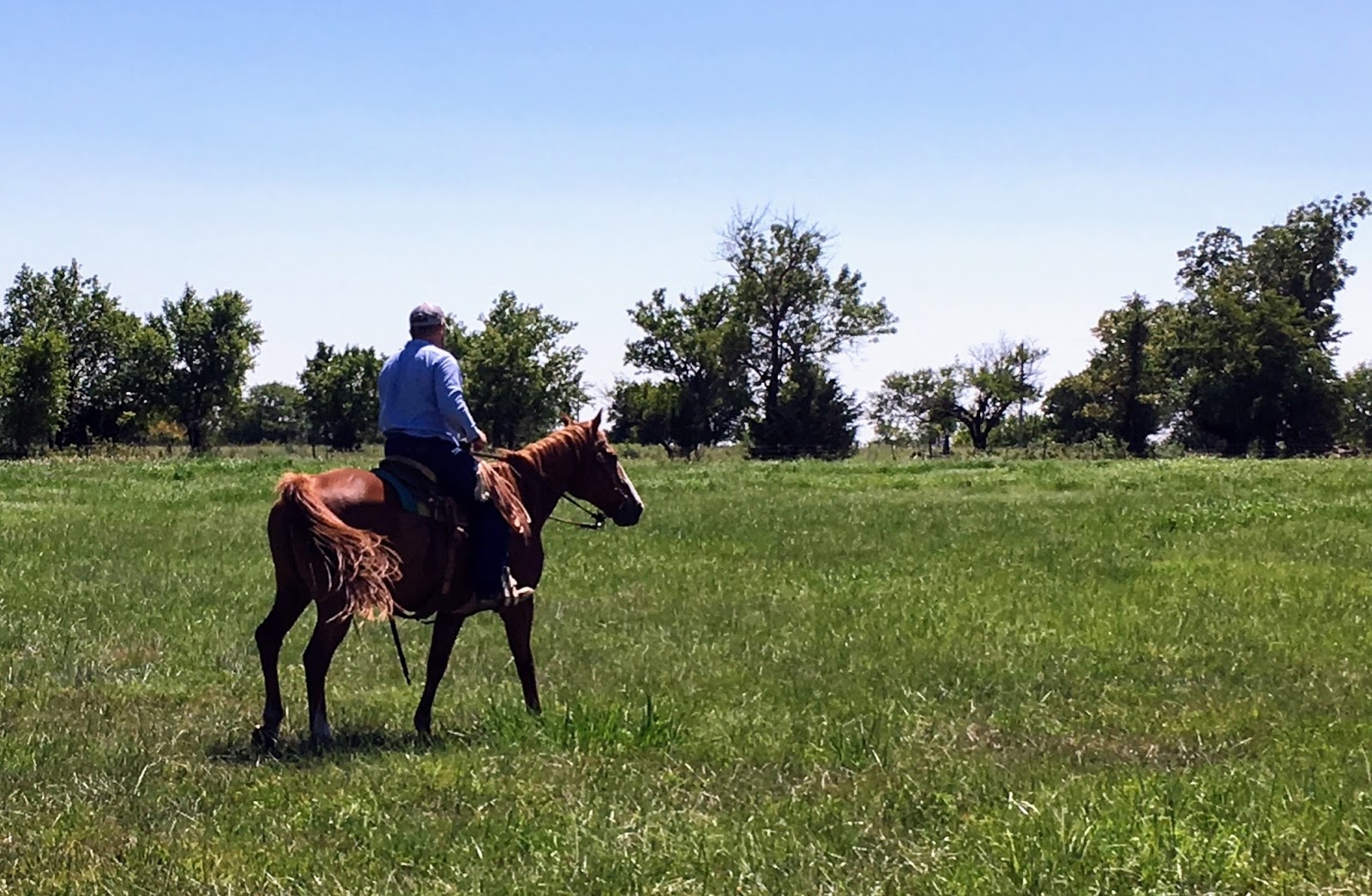 Modern Wild Man: 2017
