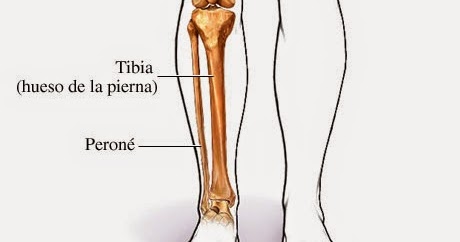 EL CAJON DE LOS CONOCIMIENTOS: PERONÉ