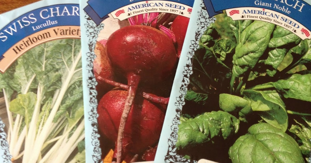 Sprouts: Growing Microgreens: Micro-Chard, Micro-Beets, and Micro-Spinach