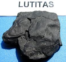 ¡Una Cruda Carrera!