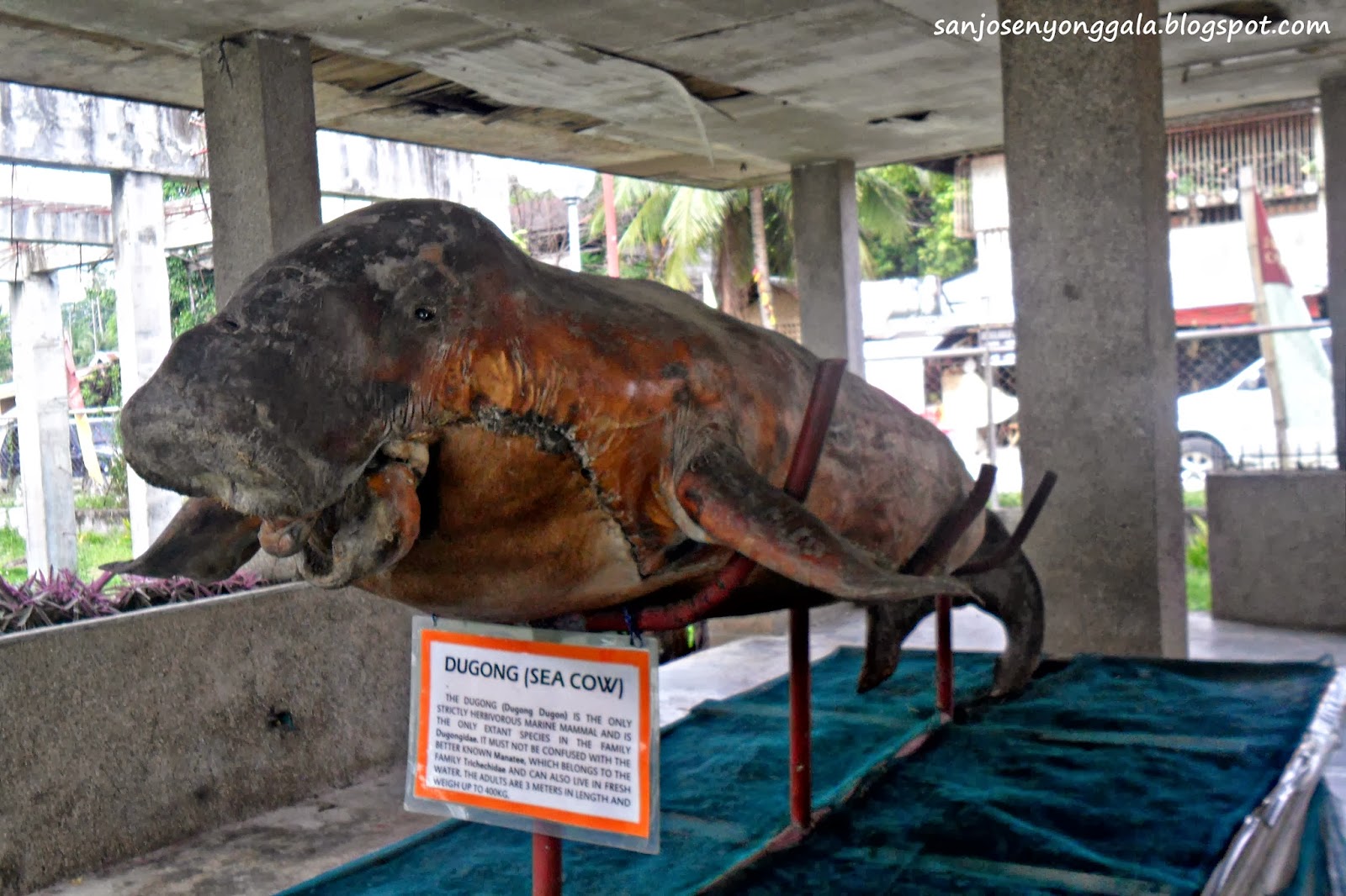 San Josenyong Gala: Kaputian Beach and the Samal Art Legacy