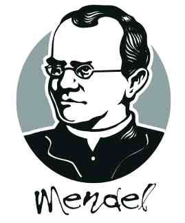 Amy Brown Science: Myths and Misconceptions About Genetics