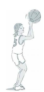 BASKETBALL JUMP SHOT: The Biomechanical Principles : In the Basketball ...