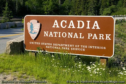 Nature Is Real: Acadia National Park