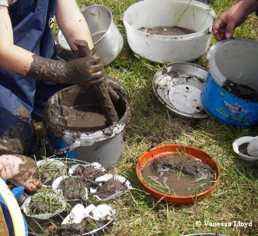 Lookin' Up: Mud Pies Baking