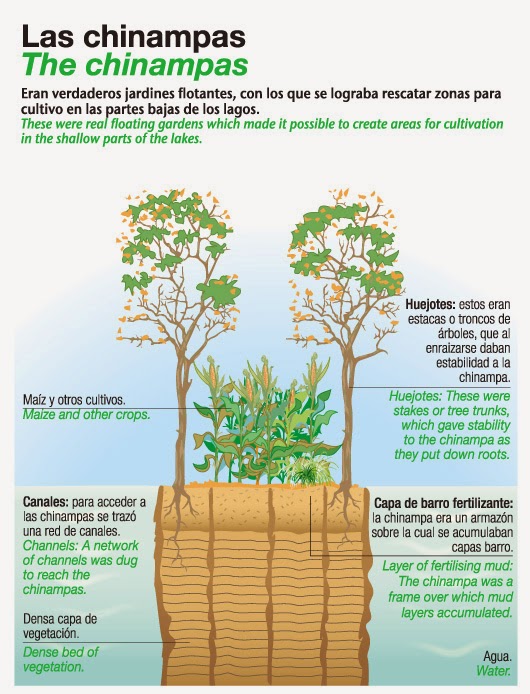 Historia IMLS: Las "chinampas" aztecas