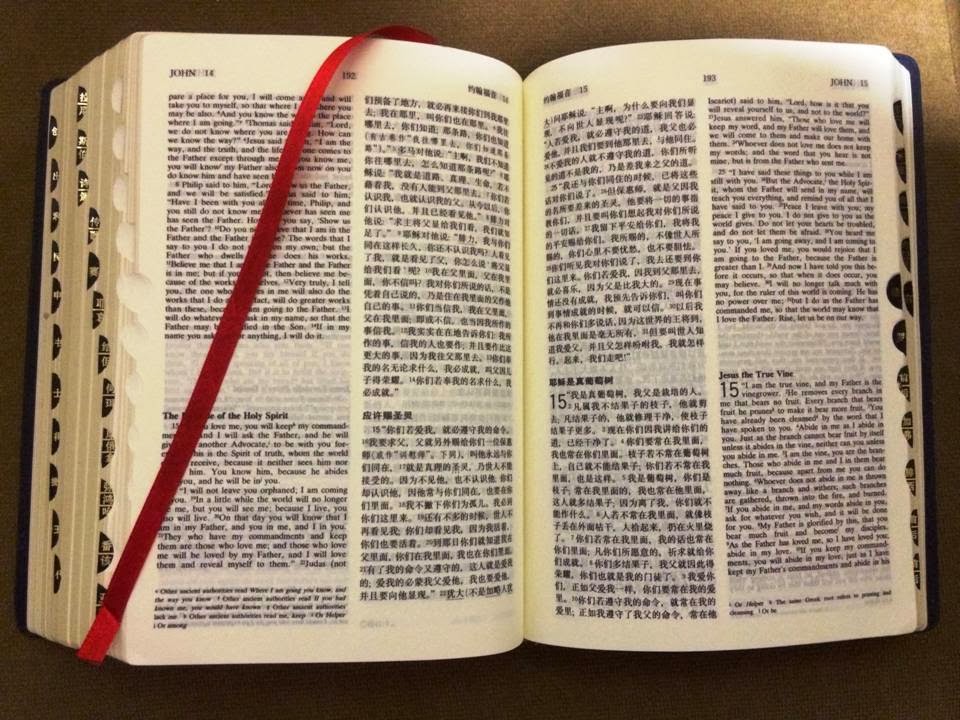 Patrick Comerford: Art for Lent (14): ‘I AM the Vine’ … a Chinese ...