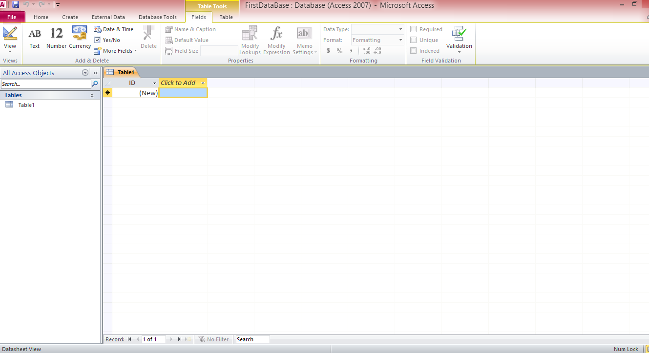 MS Excel,MS Access,Google Sheet: MS Access for Beginners