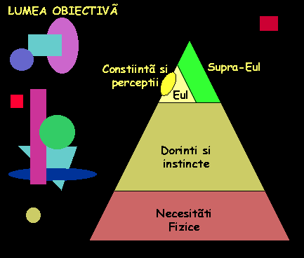 E-SCIENCE LEARNING: PSIHICUL UMAN