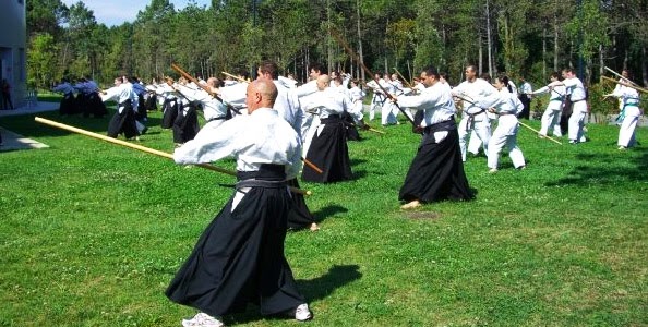 L'angolo Otaku di Checca-chan :3: Arti marziali giapponesi