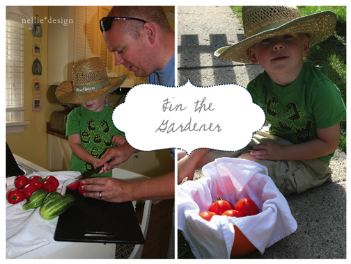 Nellie Design: Fridays (Saturday) with Fin :: Family "Vacation"