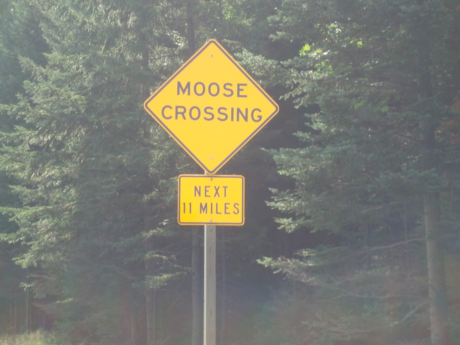 West to East: Day 24 - Bruce Crossing, MI to Marquette