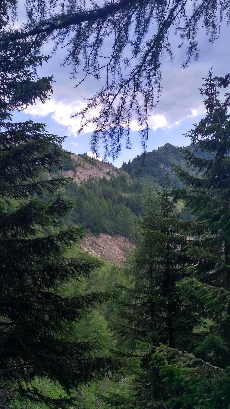 ITINERARIO NATURALISTICO DEL MONTE RITE