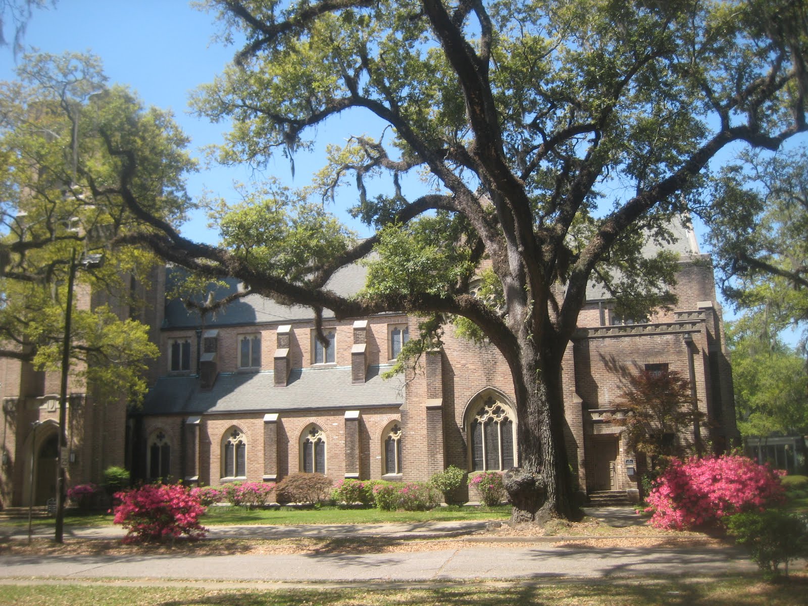 Southern Folk Artist & Antiques Dealer/Collector: A Spring walk along ...