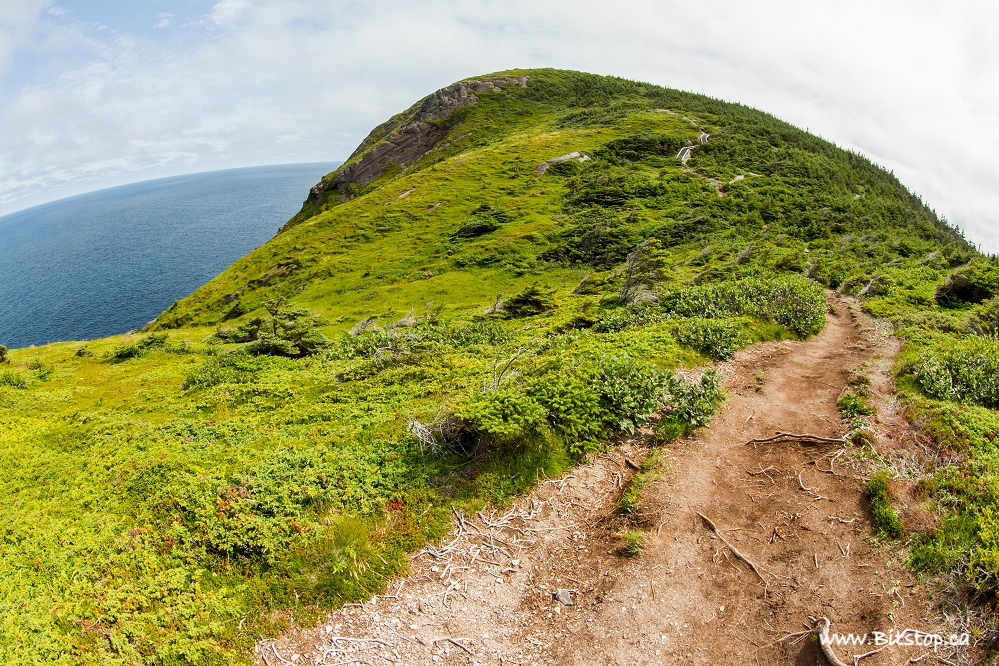 Bitstop: Torbay Point
