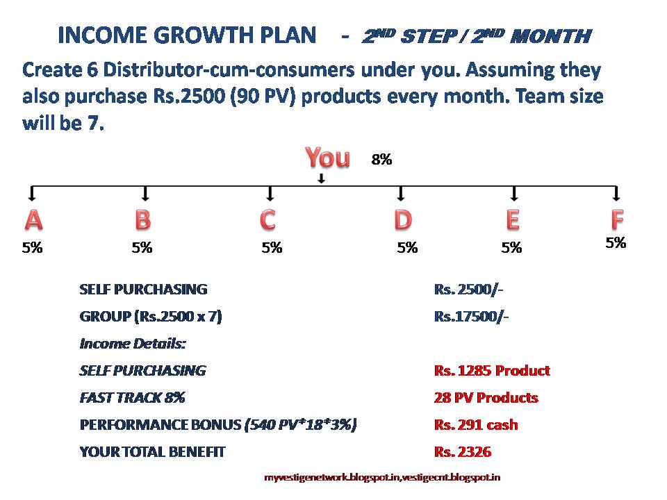 Vestige Digital Network: INCOME GROWTH PLAN