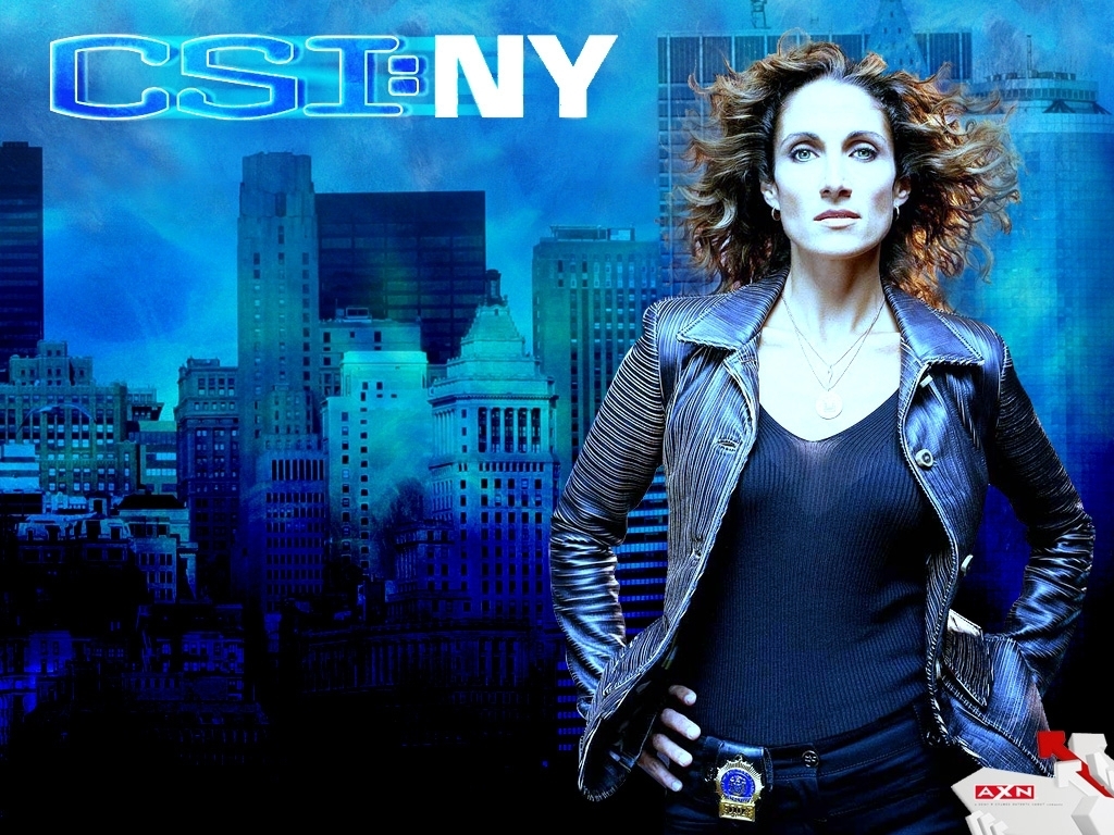 CSI NY Poster Gallery1 | Tv Series Posters and Cast