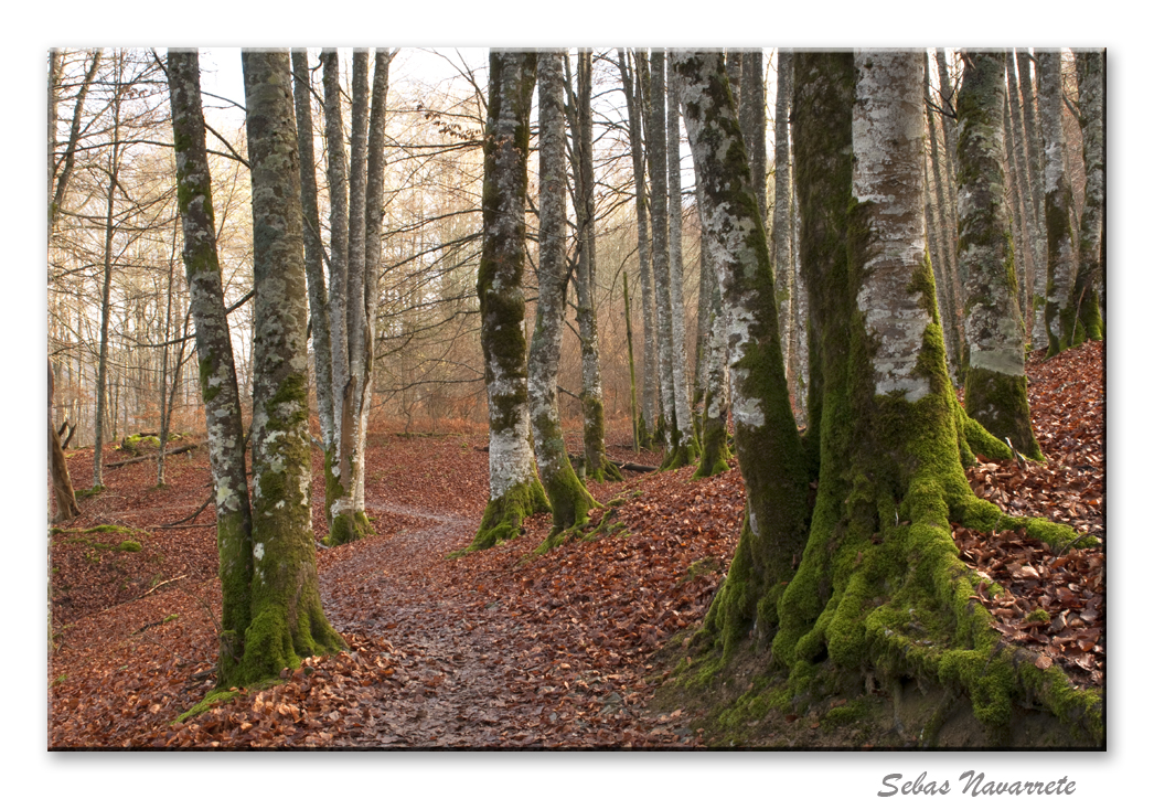 Instantes, fotos de Sebastián Navarrete: diciembre 2011