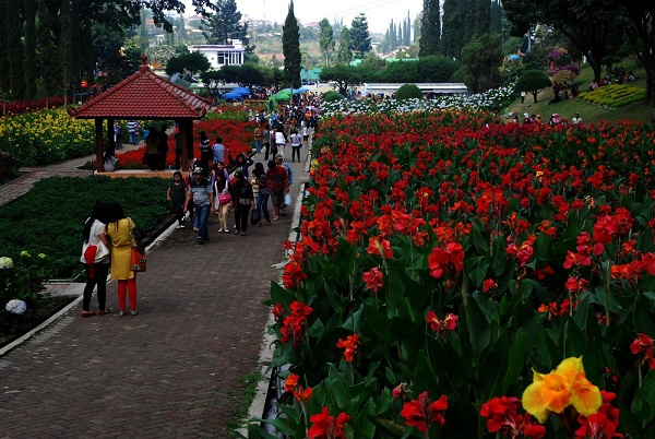 Pemandangan Taman Bunga yang Indah di Selecta Kota Batu:Blog Bunga