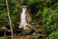 Appalachian Treks: Rock Creek Falls