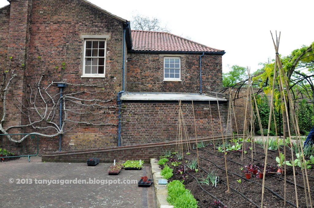 MySecretGarden: 3 - The Queen's Garden and The Royal Kitchens Garden ...