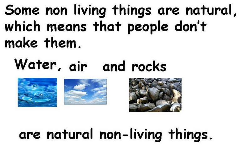 Science and Physical Education: Unit 1: Living Things