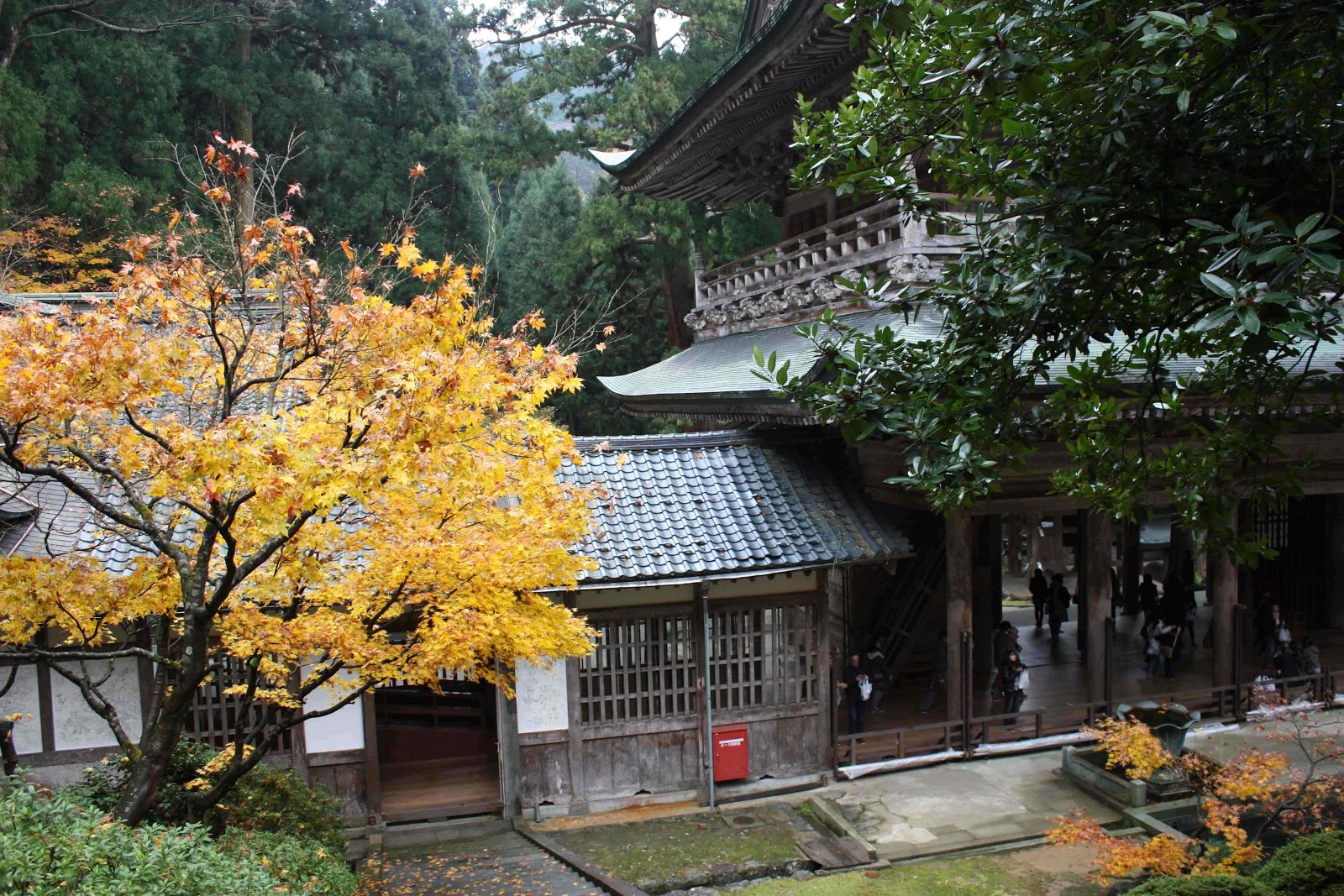 The World Tastes Good: Eiheiji Temple, Fukui