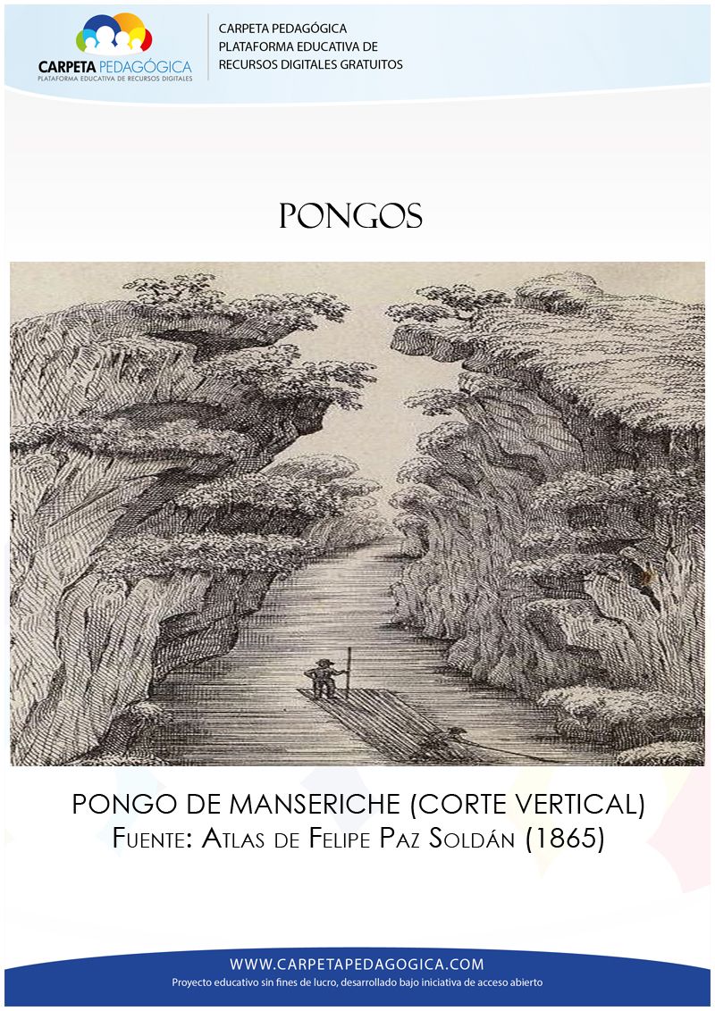 Pongos | Ciencia Geográfica