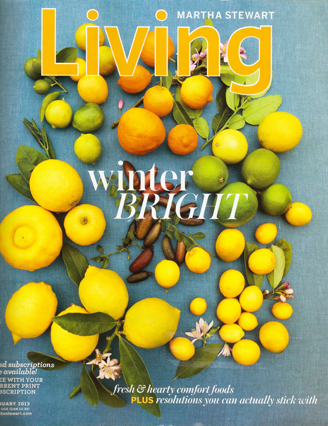 MARTHA MOMENTS: The January Issue: Two Covers