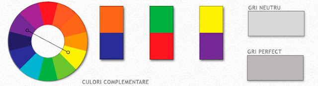 Opiniile mele despre societate: Despre culori