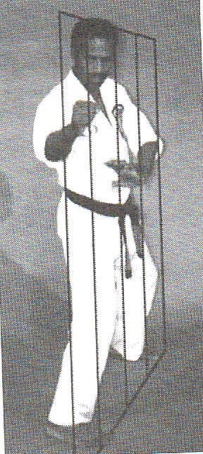 Dimensional Zones in Kenpo Karate – UMAS