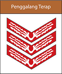 PRAMUKA PENGGALANG: SKU PENGGALANG TERAP