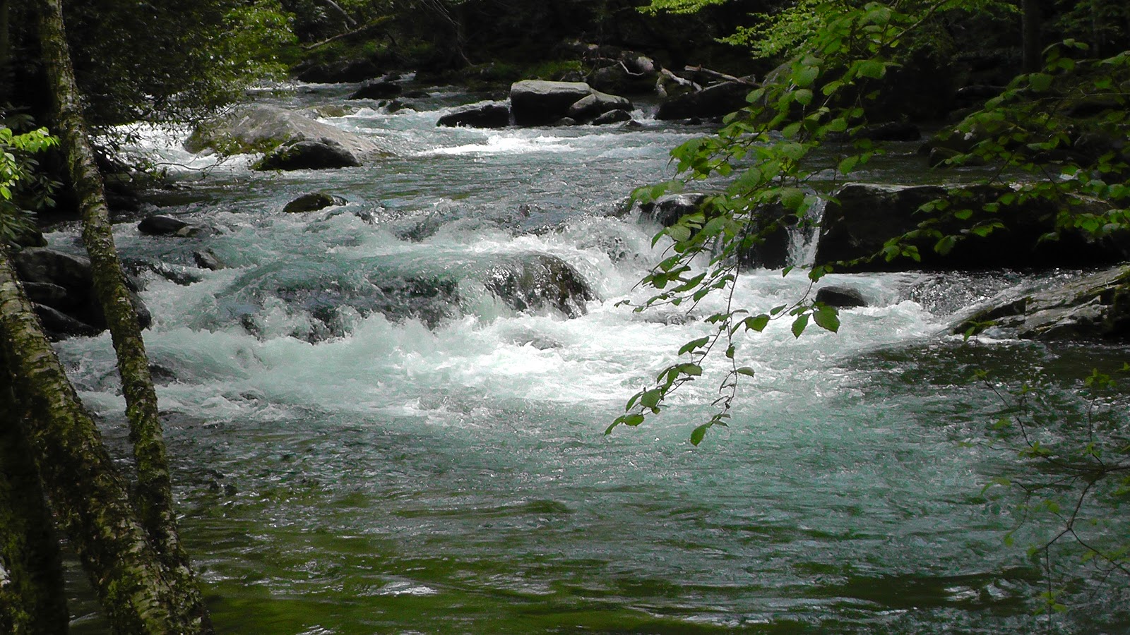 To Behold the Beauty: Cades Cove, Cataract Falls, Little River Trail ...