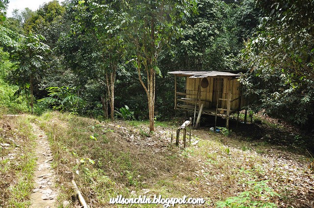Exploration to Batu Nabau, Snake Stone Valley at Engkilili, Borneo