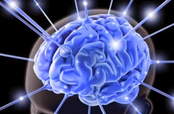 EL MUNDO OCULTO PARAPSICOLOGIA: Las Ramas De La Parapsicología