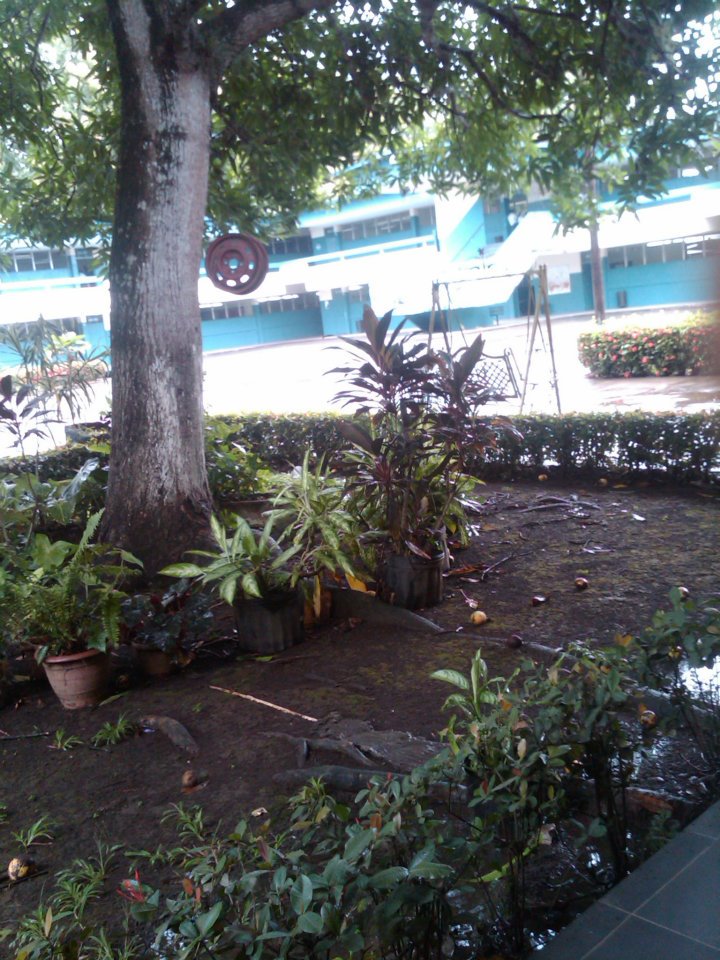 50 ANIVERSARIO DEL INSTITUTO DAVID