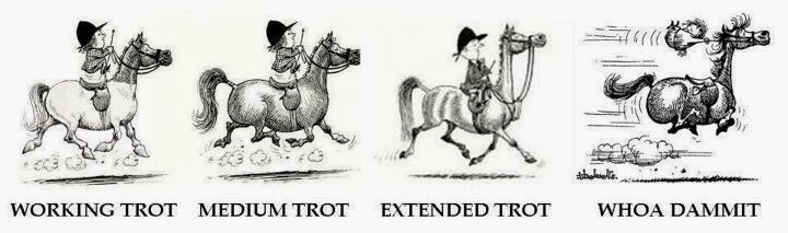 Dressage for the Non-Horsey Boyfriend - Part 3: The Trot - Dressage Hafl