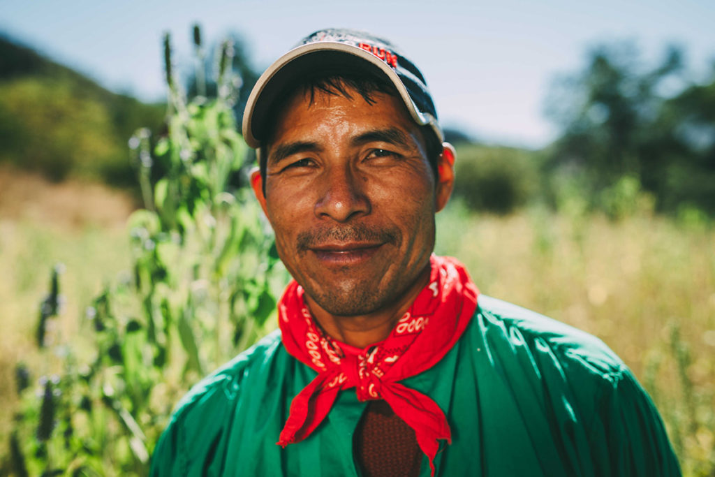 Sugiero Leer...: The Drug Runners