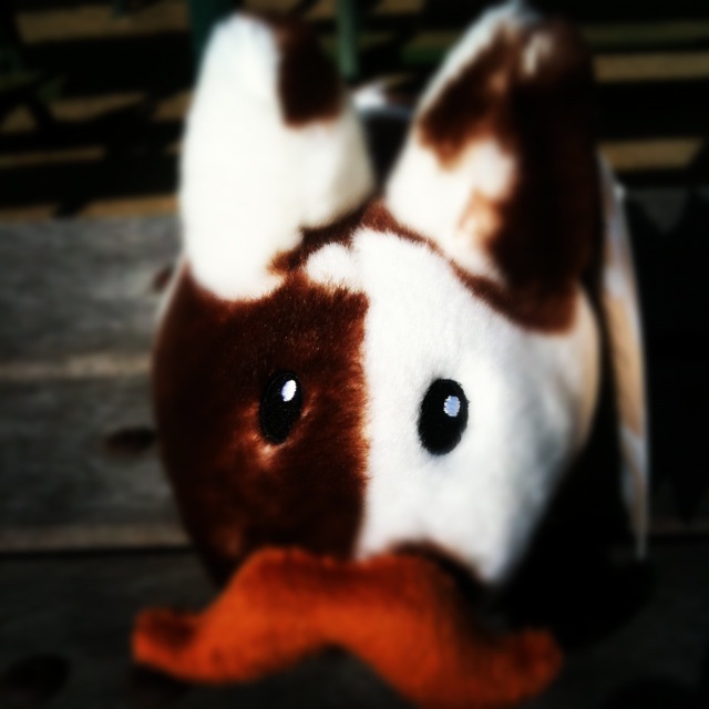 Year of the Labbit: Meet The Labbits!